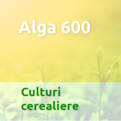 Alga 600 | agarista.agricola.md
