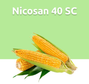 Nicosan 40 SC | agarista.agricola.md